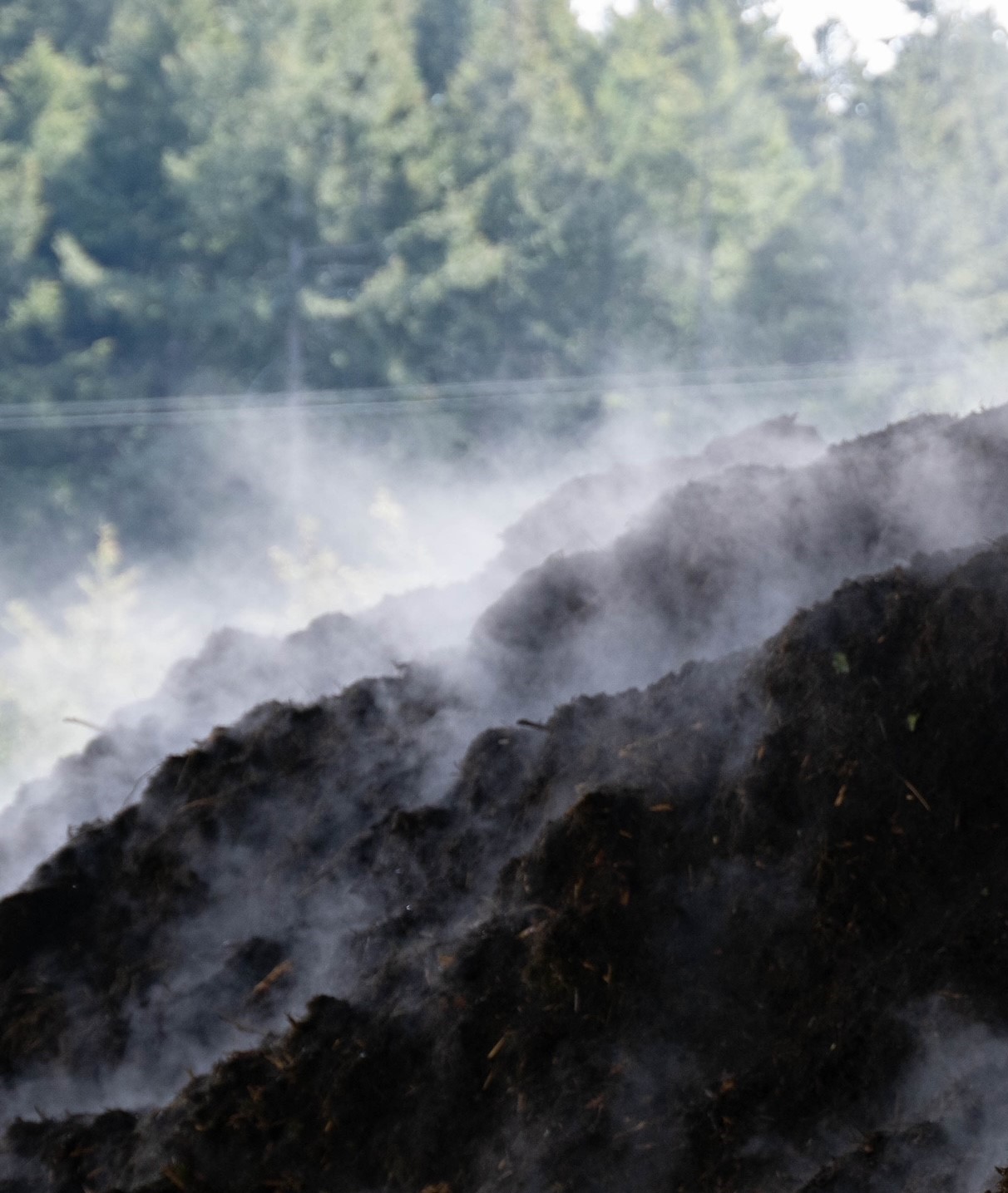 A steaming pile - Pierce County Executive