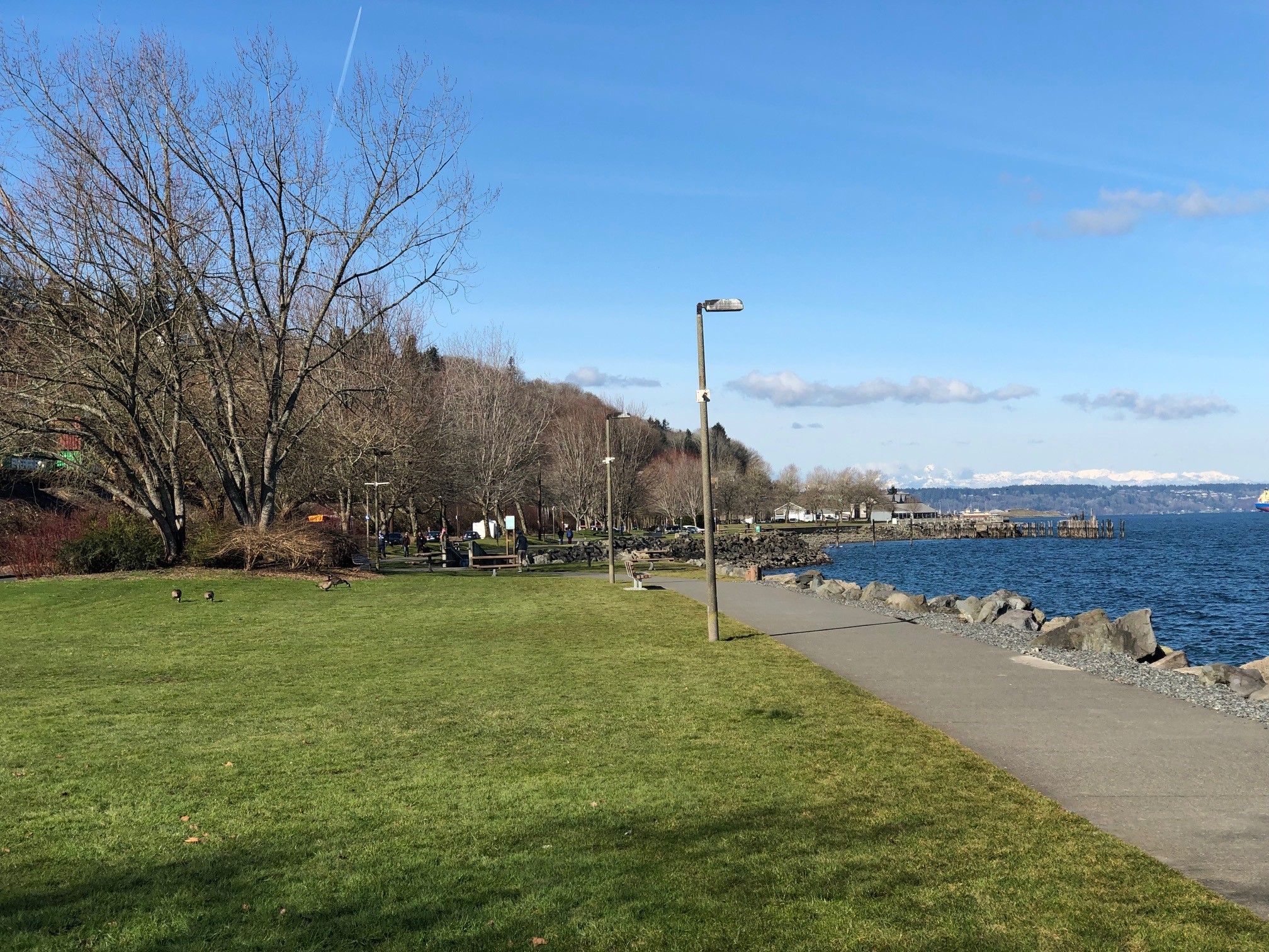 Celebrating Black History Month - Pierce County Human Services