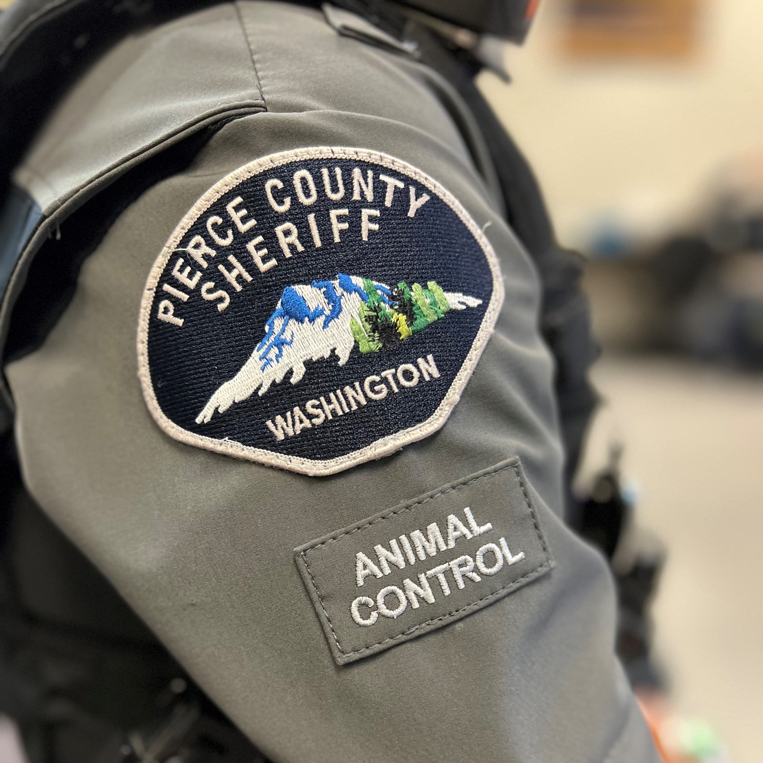 Animal Control Makes its Largest Seizure of Animals - Pierce County ...