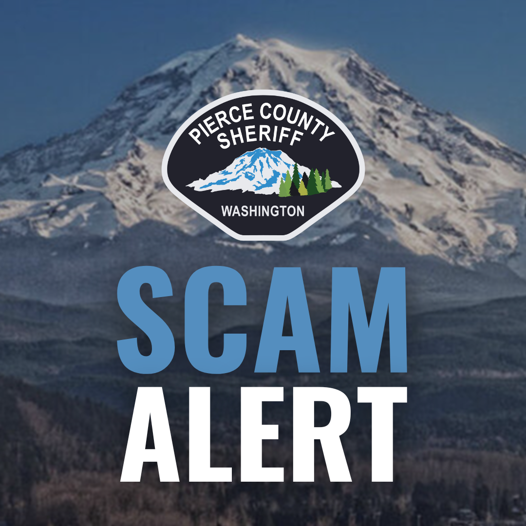 Pierce County Sheriff's Department Blotter - Pierce County Sheriff's ...