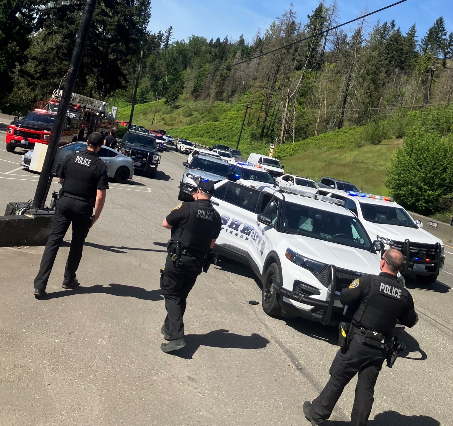 Pierce County Sheriff's Department Blotter - Pierce County Sheriff's Department blotter