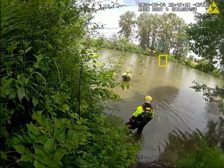 Pierce County Sheriff's Department Blotter - Pierce County Sheriff's ...