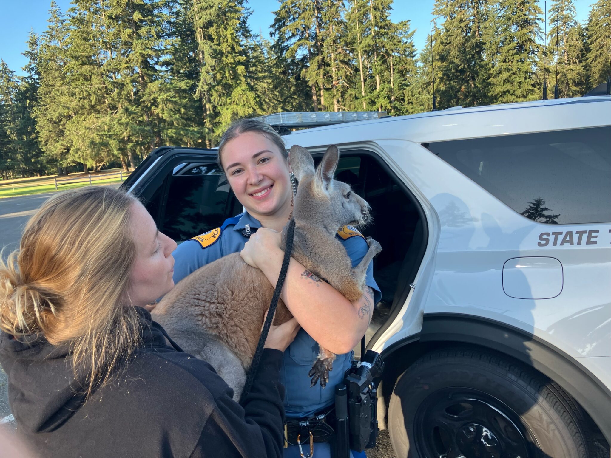 Pierce County Sheriff's Department Blotter - Pierce County Sheriff's ...